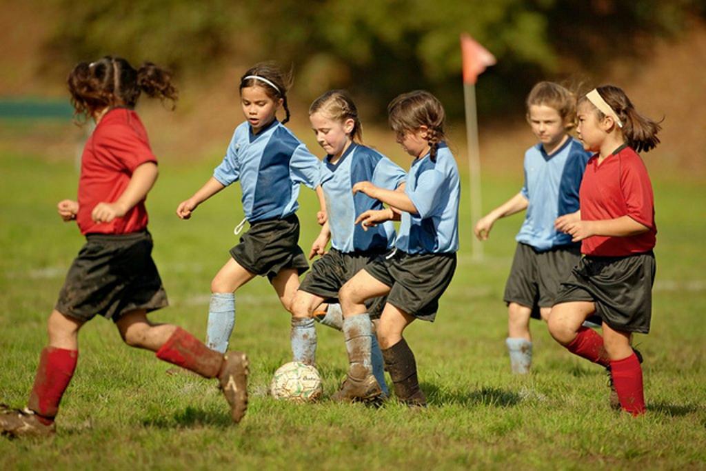 MSA SOCCER LEAGUE MSA SOCCER LEAGUE