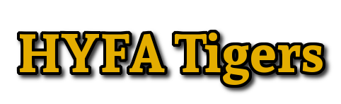 Hernando Youth Football Association
