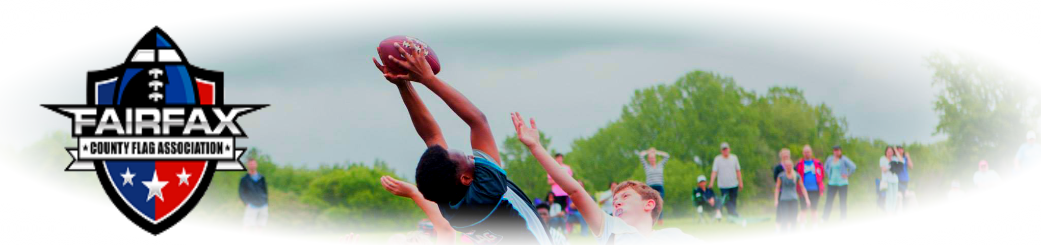 Fairfax County Flag Association