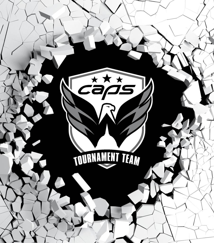 Hockey Teams and Leagues