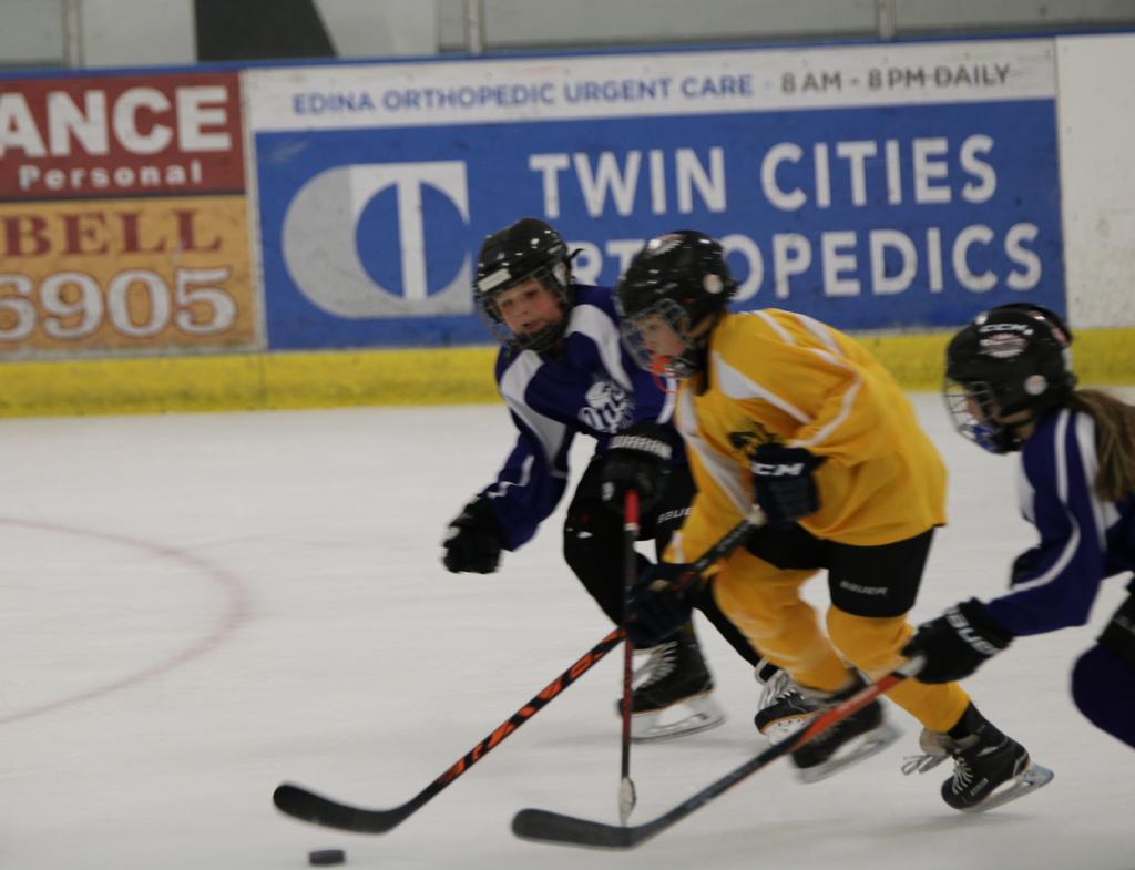 Spring Hockey Clinics