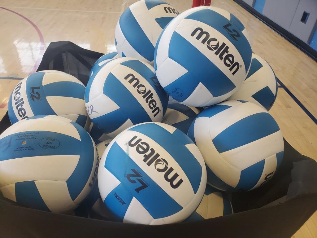 DC Academy Volleyball Club (Girls)