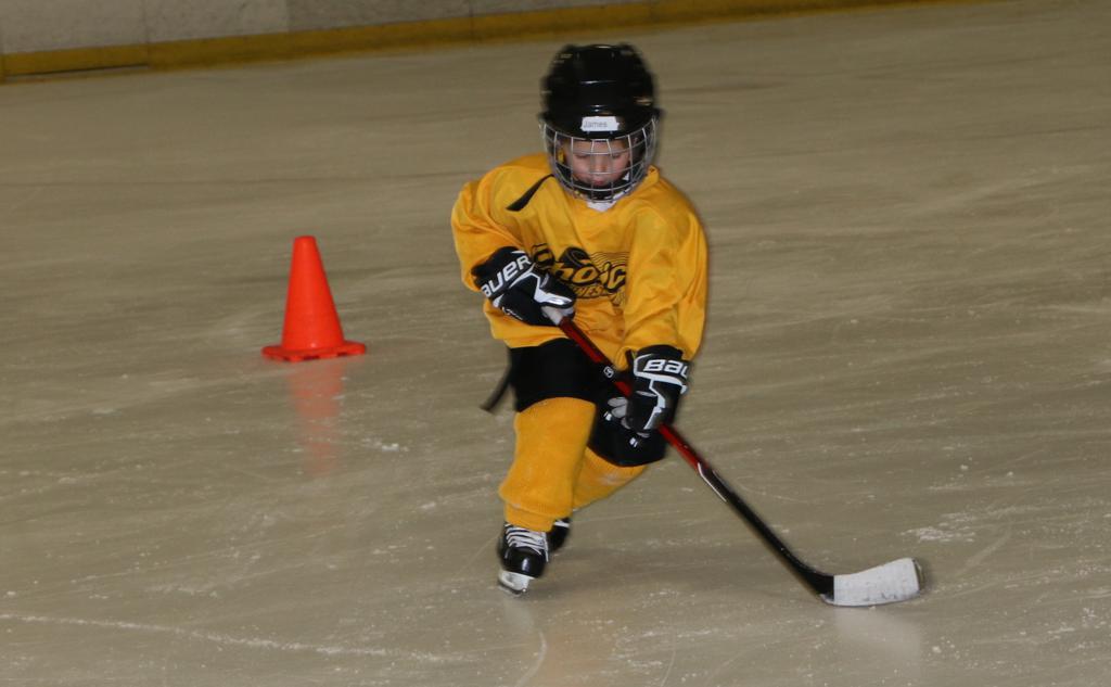 Puck Skills - After School Small Groups