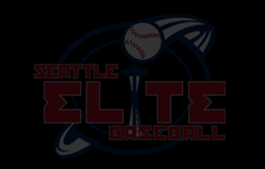 Seattle Elite Baseball