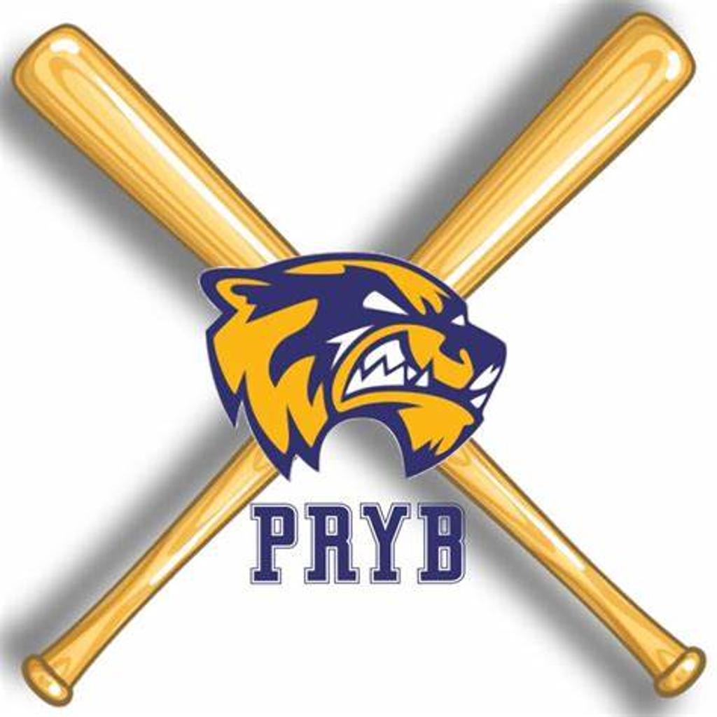 Pine River Youth Baseball