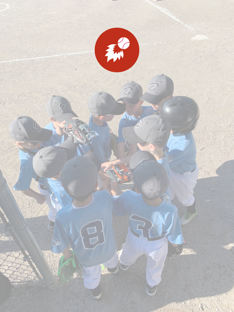 Bloomfield Baseball League