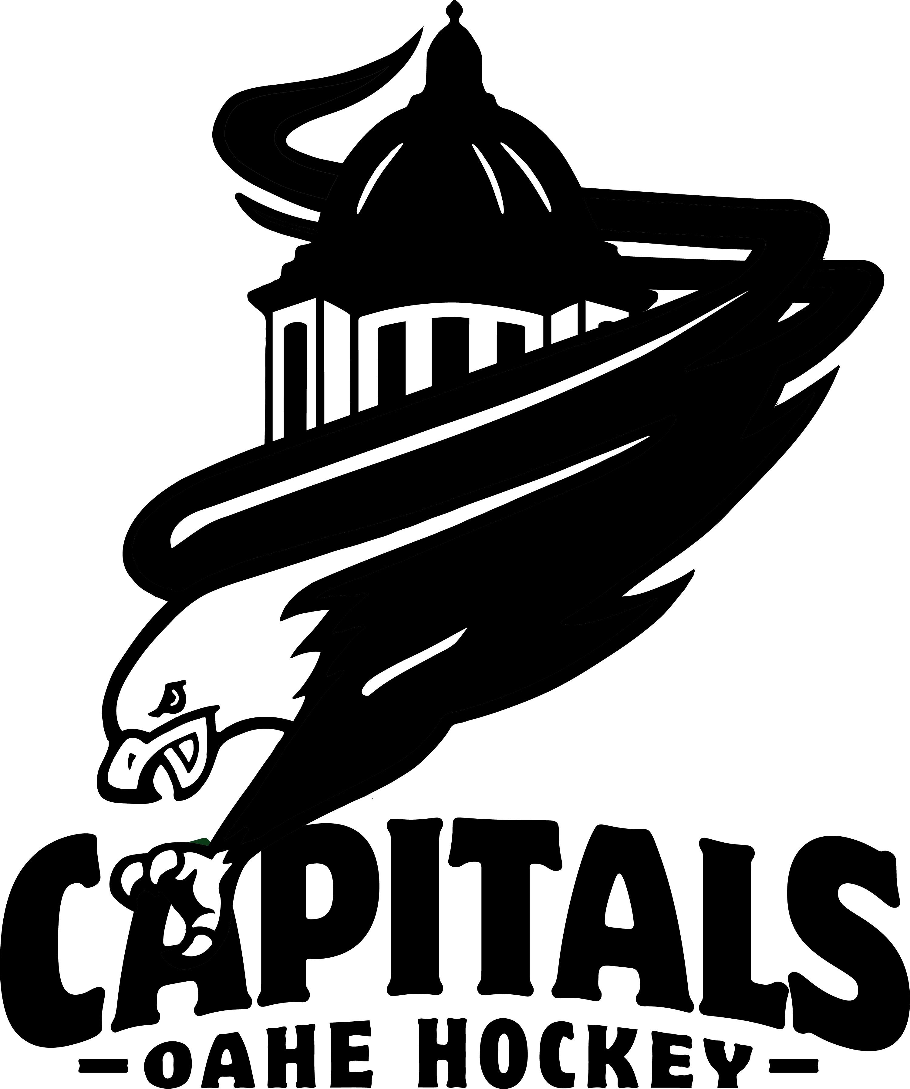 Capitals Hockey Teams Logos