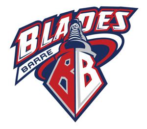 Welcome to BYSA Hockey!