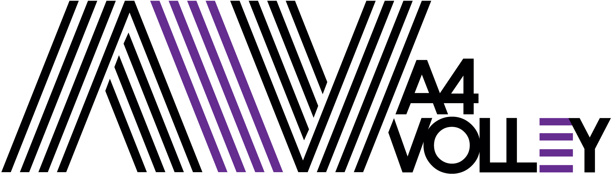 2021 Winter Youth League | 2021 Winter Youth League | A4 Volleyball Club