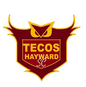 Tecos Hayward Soccer Club