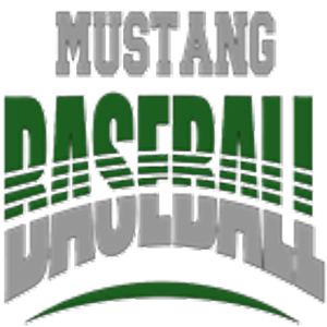 Mustang Baseball Academy
