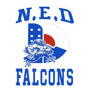 NED Park Hill Falcons Youth Organization