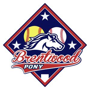 Pony Baseball Logo