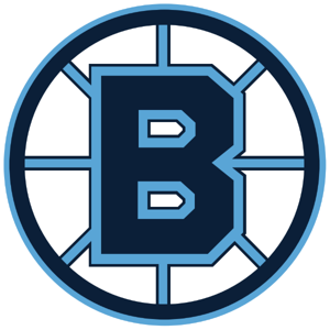 Blaine High School Girls Hockey