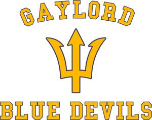 Gaylord Area Hockey Association
