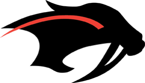 Shakopee Sabers Boys High School Hockey