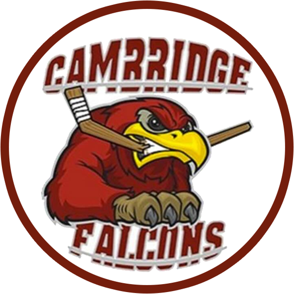 Team and Season Details