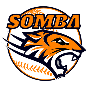 South Okanagan Minor Baseball