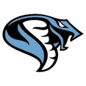 Cactus Cobra Football