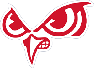 Slinger Storm Fastpitch