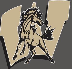 Wheeler Little Stangs Football