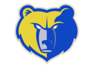 Lyndhurst Soccer Club