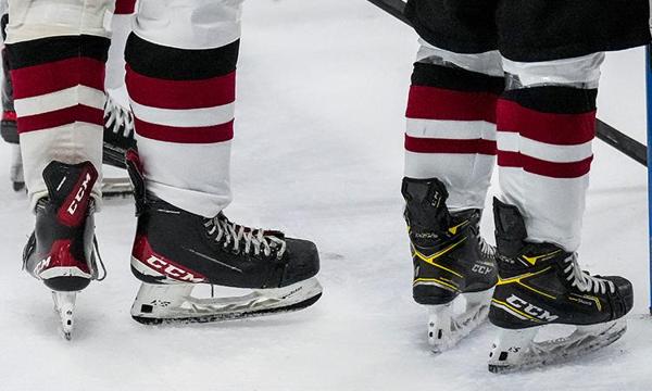 OMHA AAA Landscape Continues to Evolve - Update on Richmond Hill