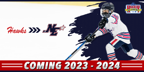 Ice Hawks Get ReBrand for 23/24 Season