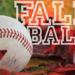 2023 Fall Baseball