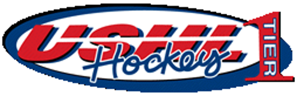 4 Stars Elite Players Selected in USHL Draft