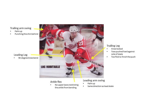 Strive for the Perfect Stride