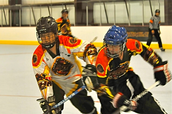 Ryan Shimanuki and Michael Pentecost Battle for the Puck