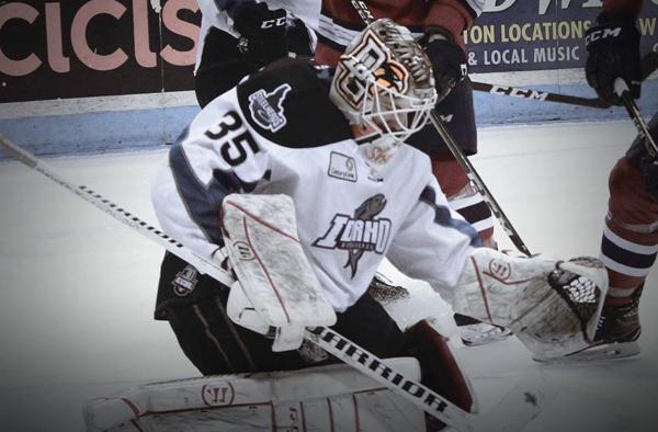 Sholl named ECHL Goaltender of the Week