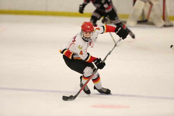 Atlanta Phoenix Hockey