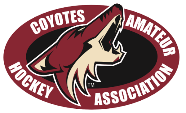 Introducing Center Ice Fund