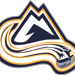 New Hampshire Avalanche Hockey Association