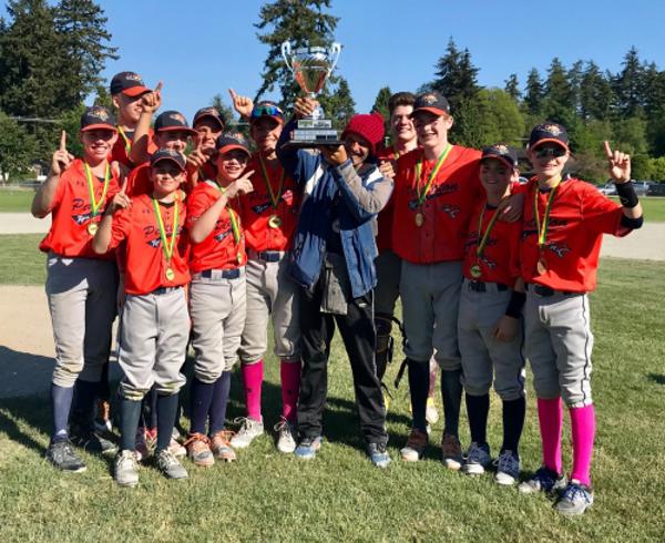 2018 AGM AND BASEBALL SEASON SUMMARY