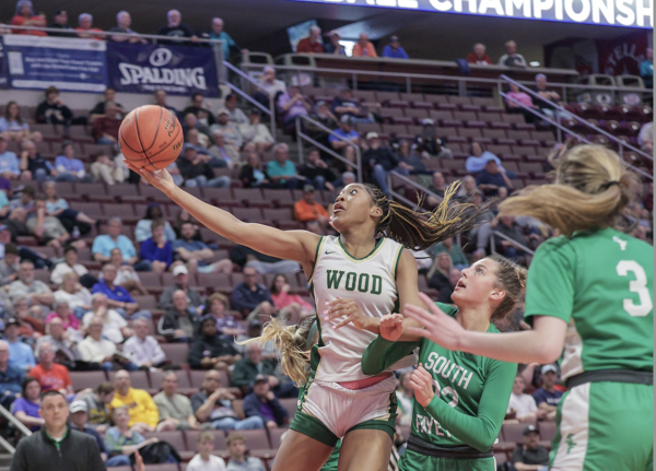 GIRLS BASKETBALL: 2025 Pennsylvania Sports Writers All-State Girls ...