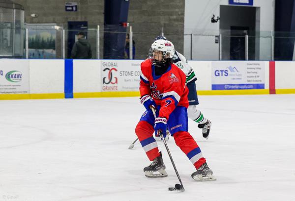 SJHA Mid-Season Survey Results