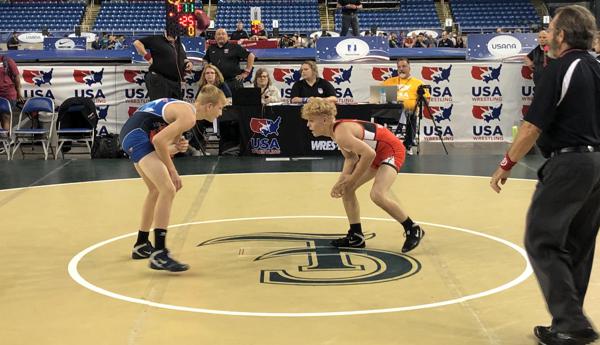 113 Pound Preview