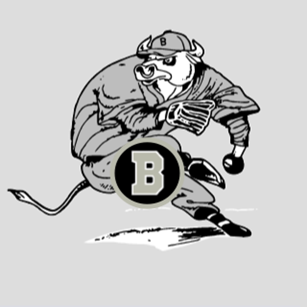 Bullpen Transfer Ownership