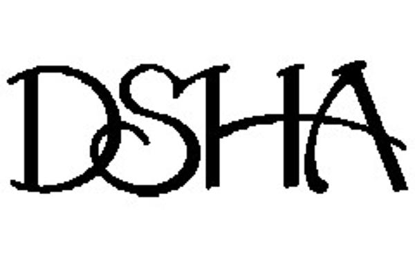 Prep girls notes: Kass' late goals lift No. 1 DSHA over No. 2 Falls