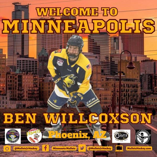 Willcoxson Joins Mullets