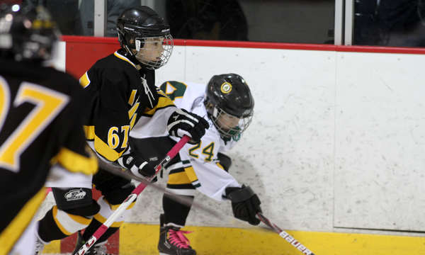 Heads Up Hockey: Concussion Education and Return-to-Play Reminders