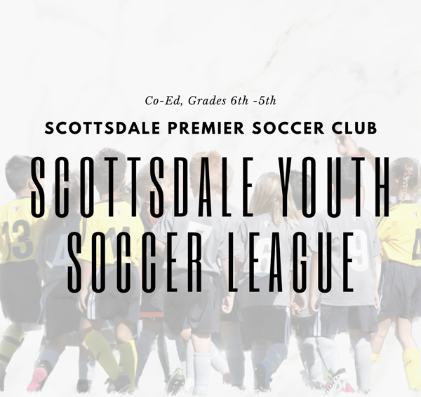 Join Our SYSL Teams!