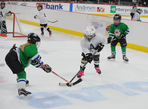 Hard Ice Dividers Enhance On-Ice Experience