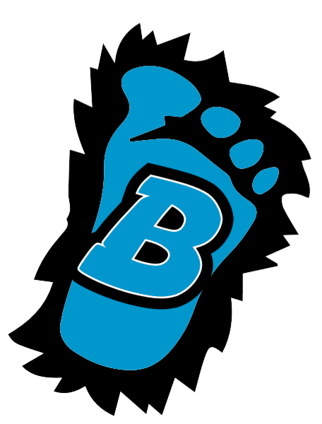 STHA 8U, 10U and 12U Coaching Update