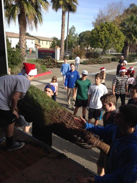 Christmas Trees For Marines