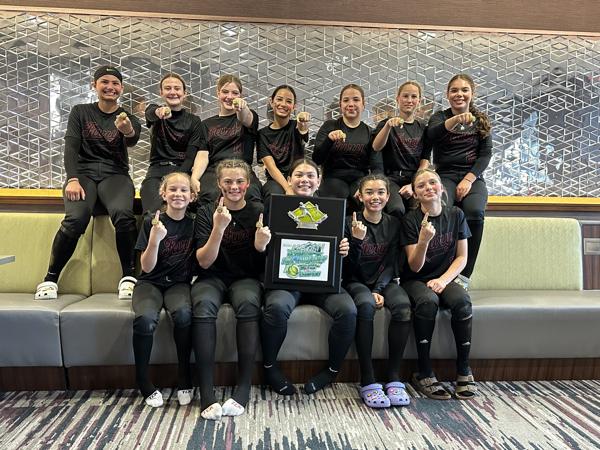 Fury 12U Black Wins USSSA State