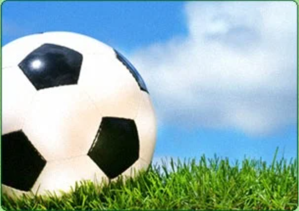 Game Day Cart Drivers Needed!!